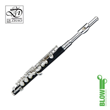 Di Zhao DZP-101 Piccolo